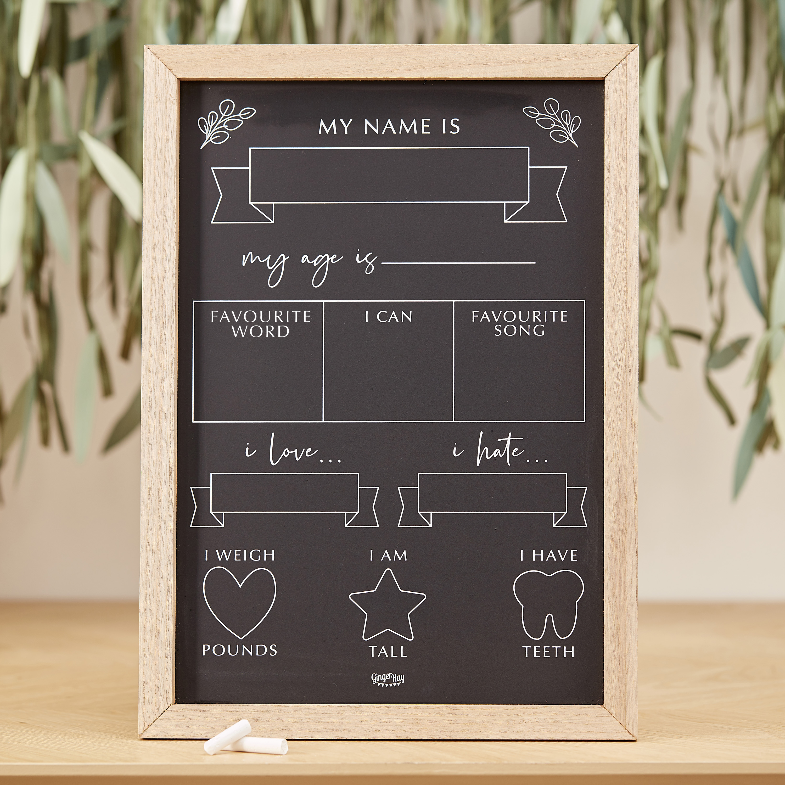 Baby Milestone Chalkboard Sign | Ginger Ray